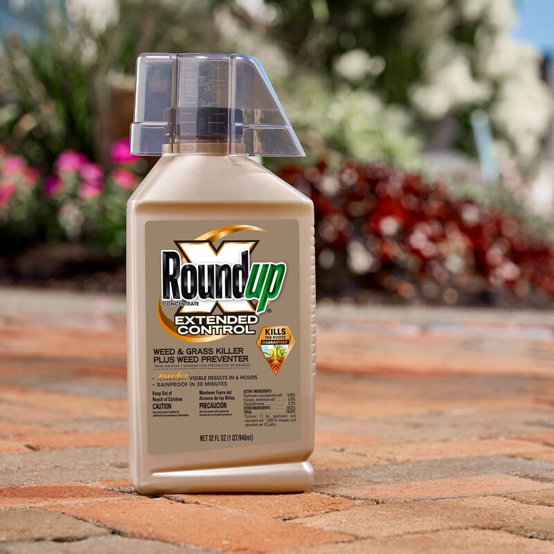 Roundup Concentrate Extended Control Weed & Grass Killer | Roundup