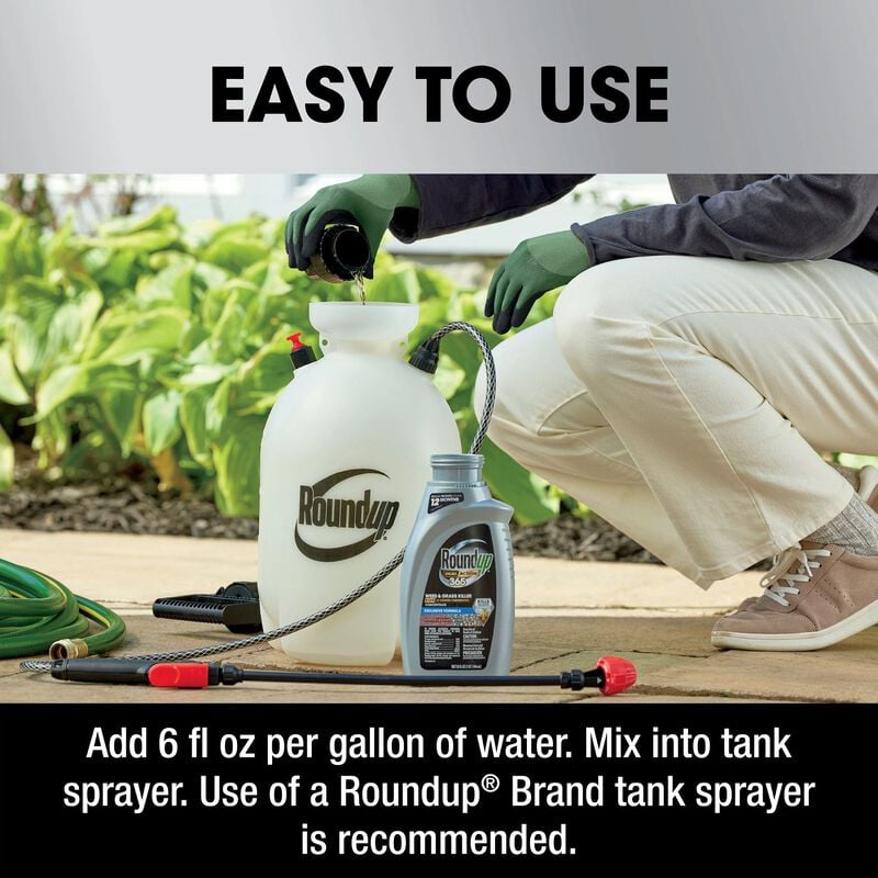 Roundup Dual Action 365 Weed & Grass Killer Plus 12 Month Preventer ... Roundup Dual Action 365 Weed & Grass Killer Plus 12 Month Preventer ...