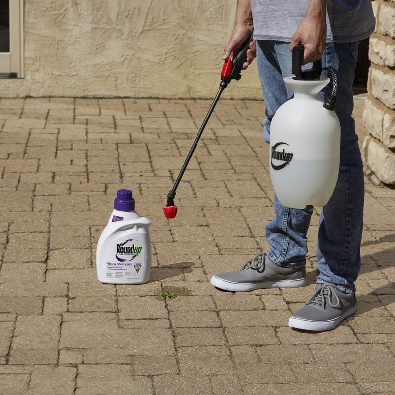Roundup Super Concentrate Weed & Grass Killer | Roundup Roundup Super Concentrate Weed & Grass Killer | Roundup