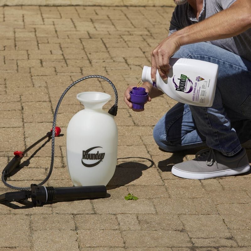 Roundup Super Concentrate Weed & Grass Killer | Roundup Roundup Super Concentrate Weed & Grass Killer | Roundup