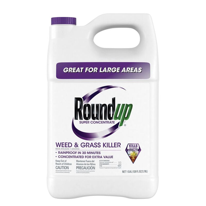 Roundup Super Concentrate Weed & Grass Killer | Roundup Roundup Super Concentrate Weed & Grass Killer | Roundup