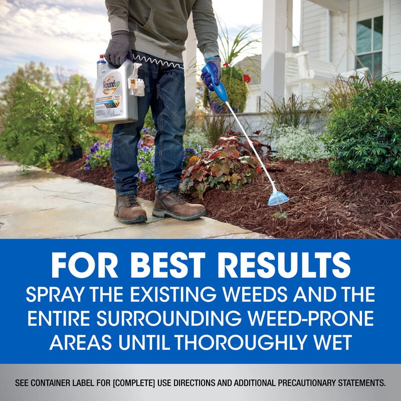 Roundup Dual Action Weed And Grass Killer Roundup